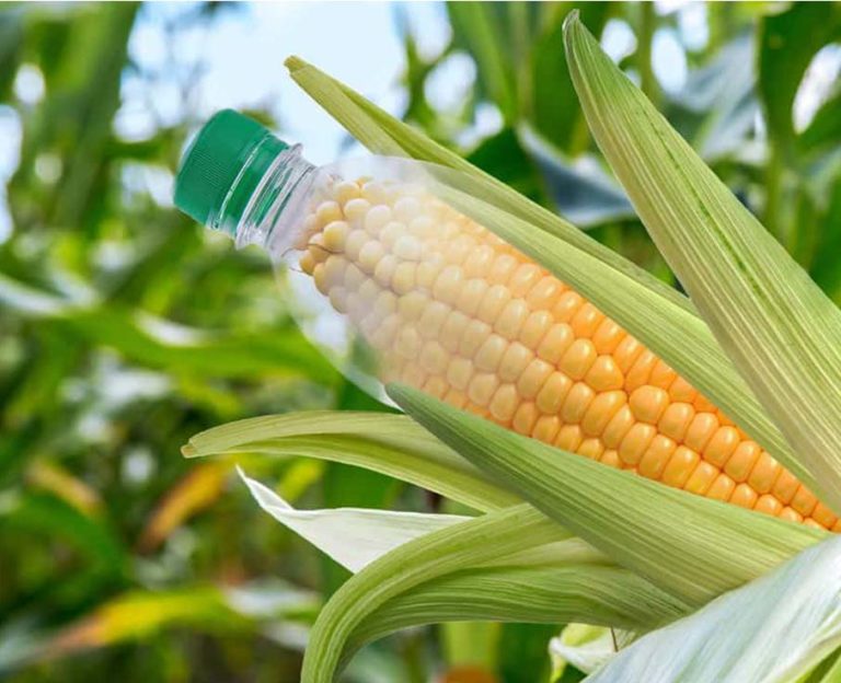 Biodegradable plastics and compostable masterbatch - NEMARA